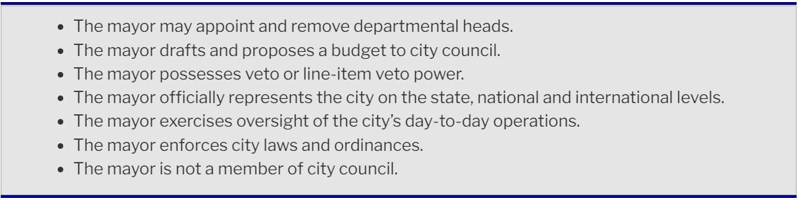 A Performance Analysis of the current Binghamton City Council ...